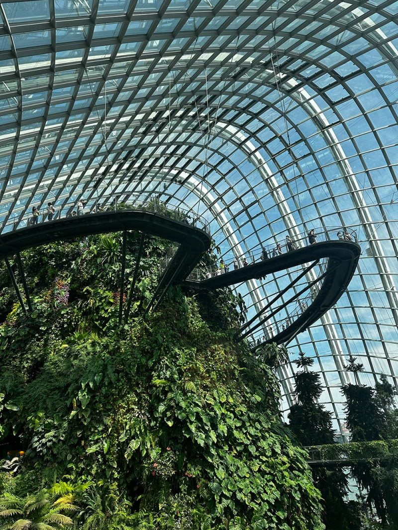 Singapore hoogtepunten • Cynthia